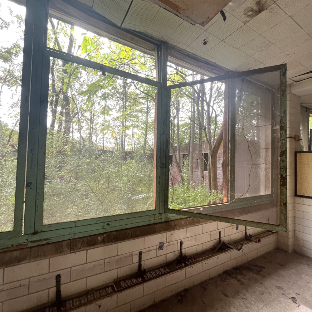 Pennhurst #6 – Sharon Wray