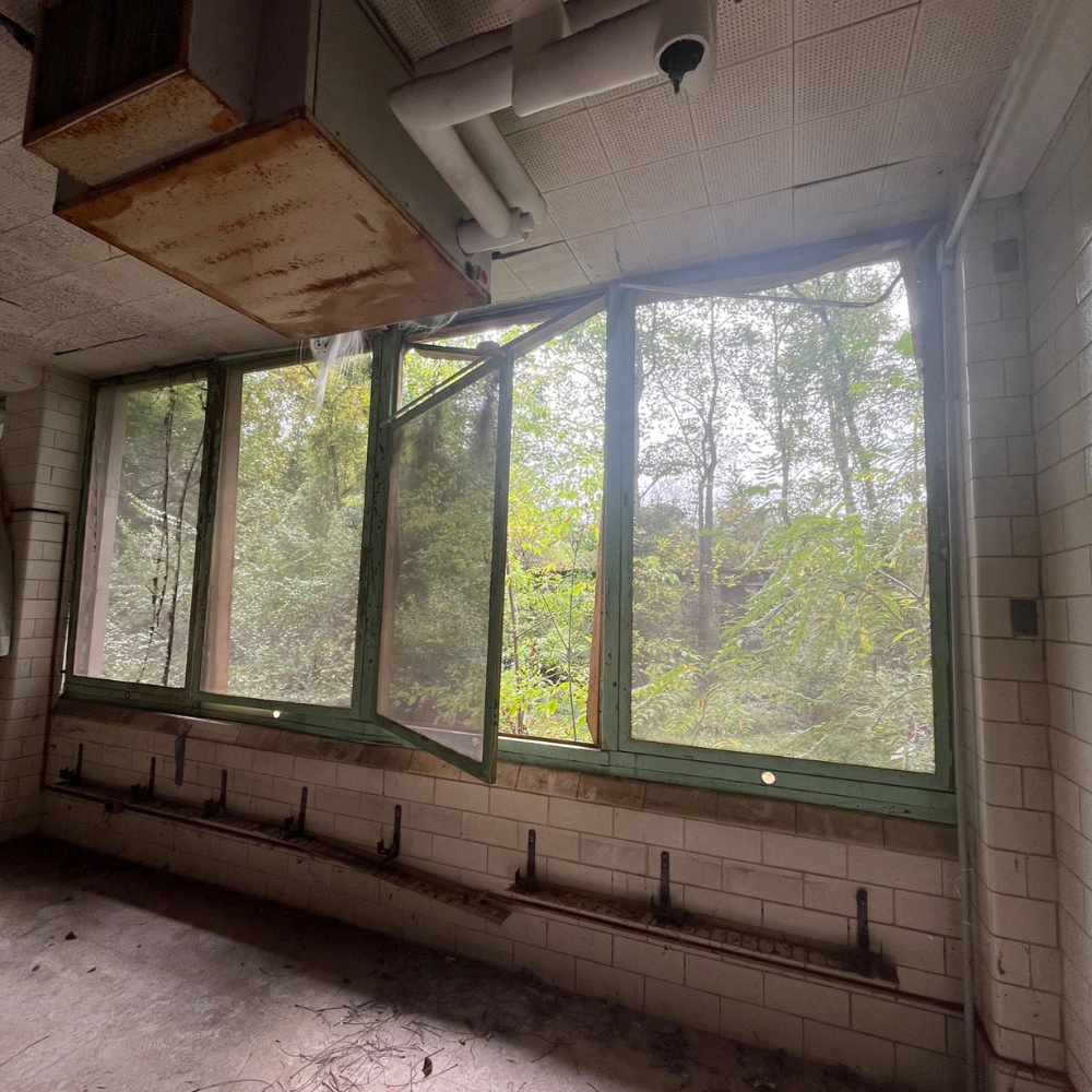 Pennhurst #6 – Sharon Wray