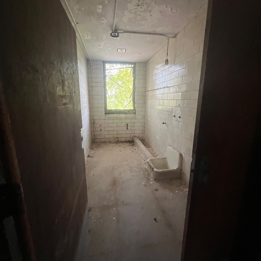 Pennhurst #5 – Sharon Wray